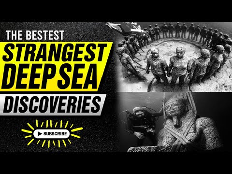 This is Amazing! Strangest Deep Sea Discoveries | The Bestest Channel