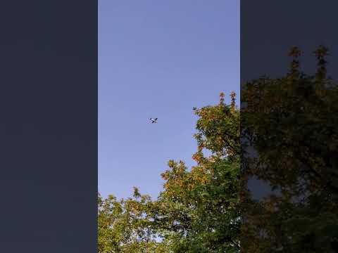 #oregon stuff | #Cessna #172 #SkyHawk #flyby 🤠🤙🤙 #portland #forestpark #aeroflightmaintenance