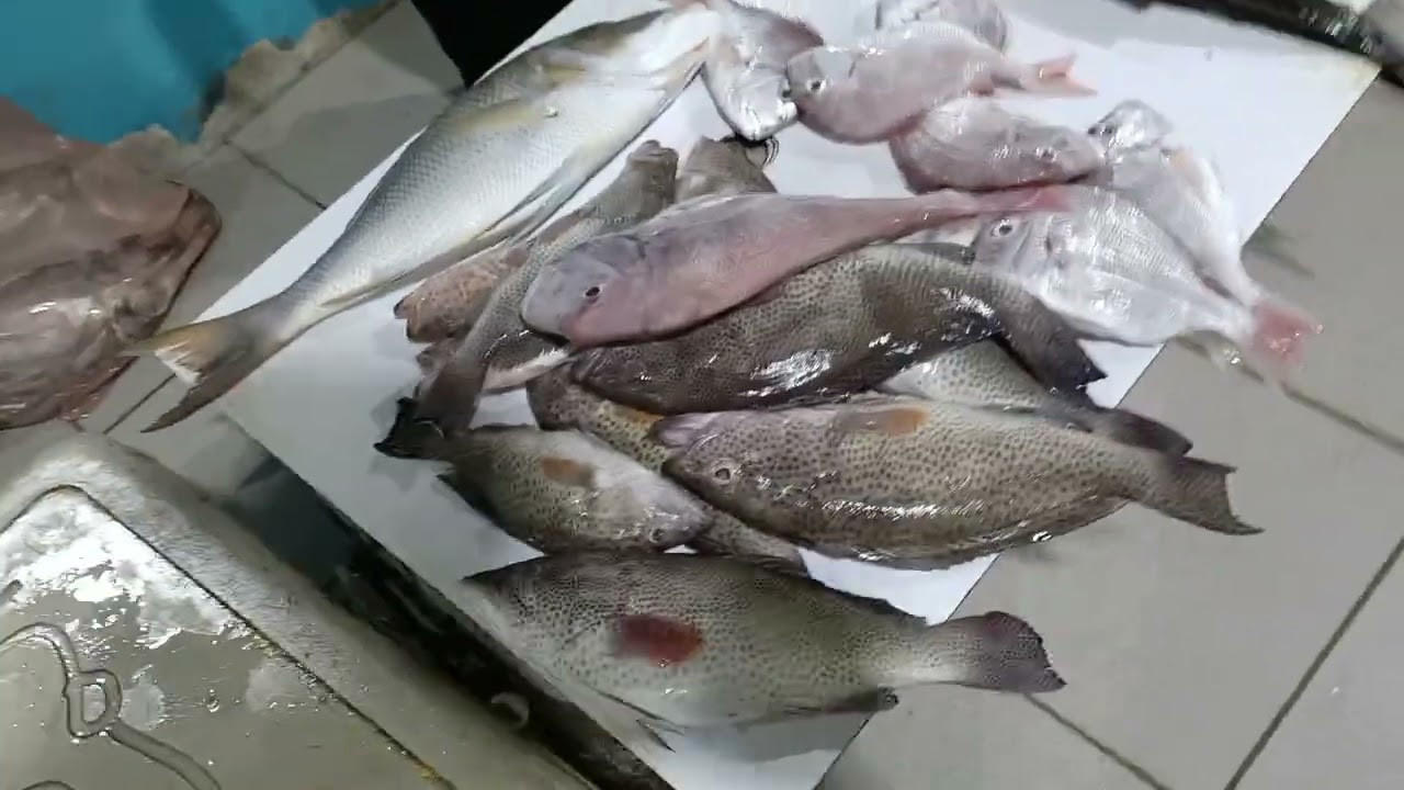 The Fish Market of Bahrain, Freshest and Cheapest Central Seafood Market