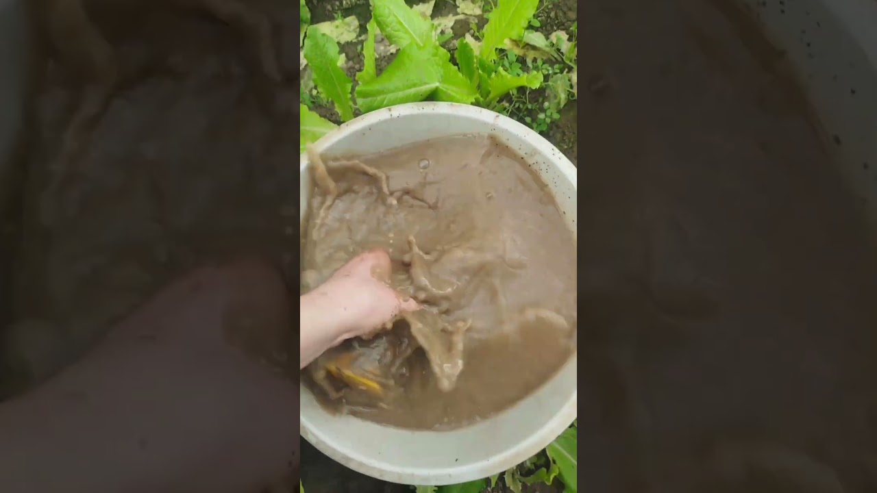 InShot 20260411 232540201