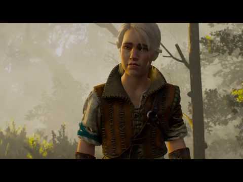 Steam Community :: Video :: The Witcher 3 - Dialogue Highlight No.17