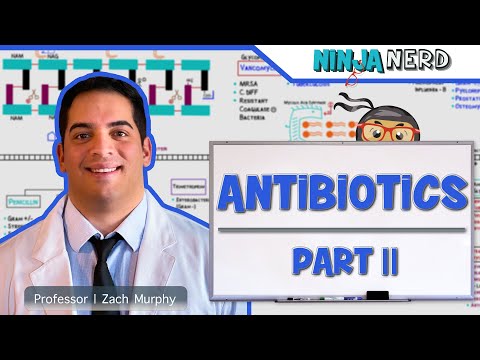 Antibiotics: Folic Acid Pathway Inhibitors: Part 2