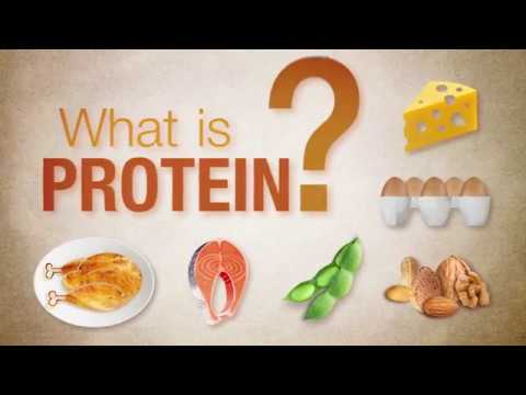 What is protein? | Herbalife Nutrition