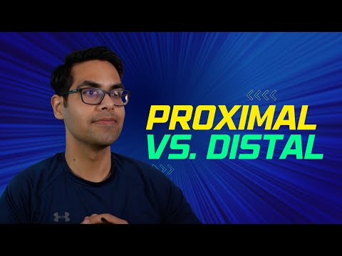 Up Close and Personal: Proximal vs. Distal Explained