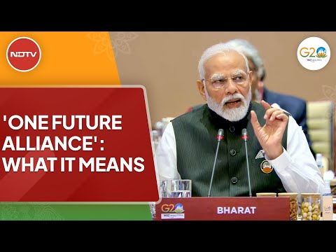 India G20 Summit 2023: 'One Future Alliance' Part Of India's Big G20 Push