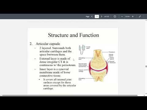 Anatomy Joint types