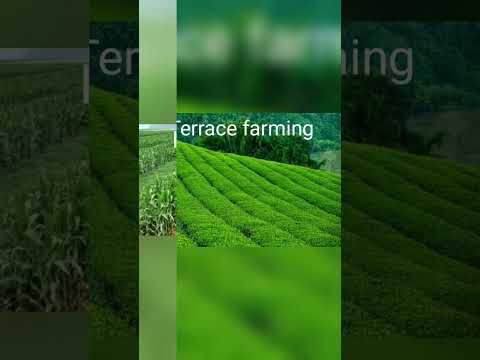 class 8 important topic soil conservation