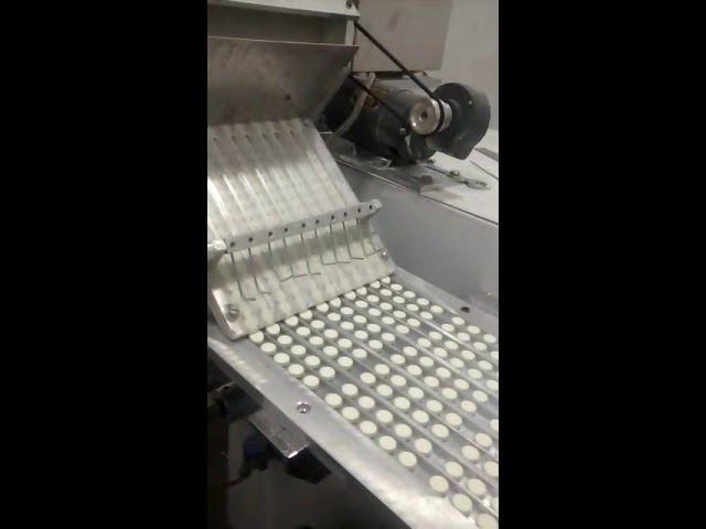 Bolus Packaging Machines - Bolus Packaging Machine Manufacturer from ...