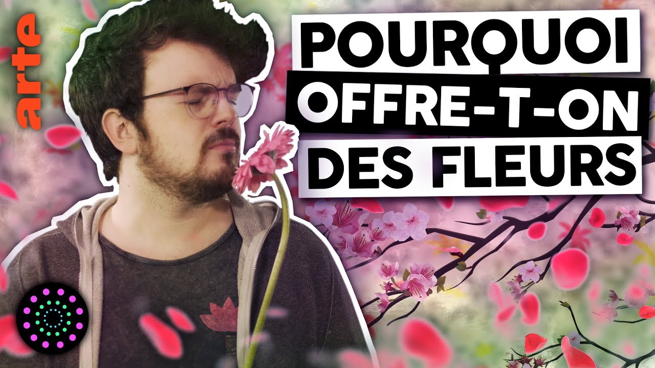 Dites-le avec des angiospermes 🌼🌷🌹 | Un Créatif | Le Vortex#35