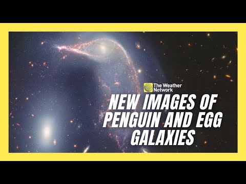Nasa Release Stunning New Images Of 'Penguin and Egg' Galaxies