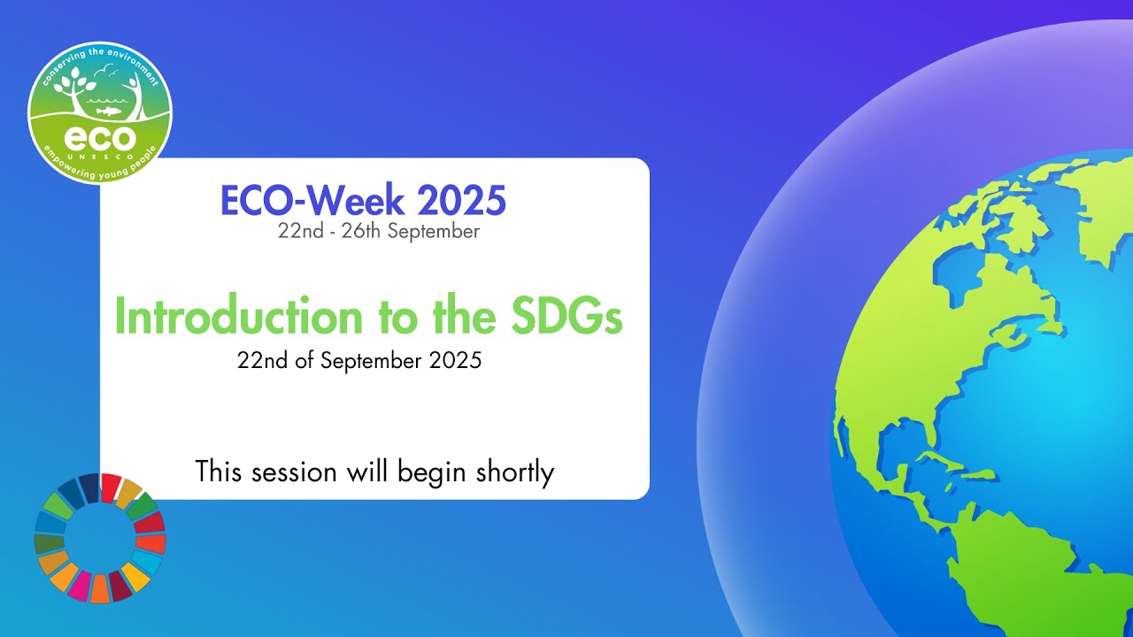 Introduction to the SDGs (Ages 13-18)