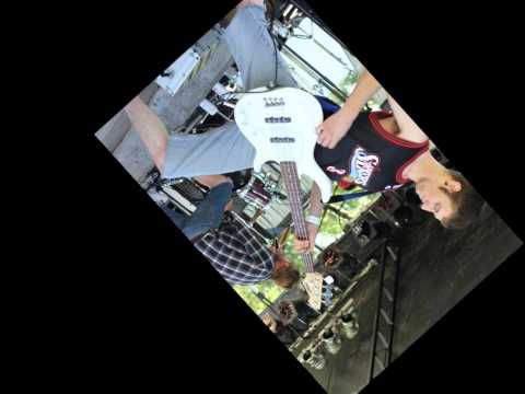 The Divine Right of Kings - Organ Doner