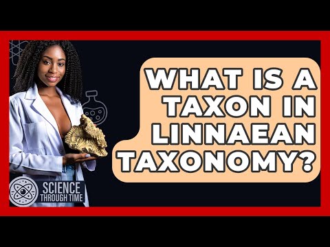 What Is A Taxon In Linnaean Taxonomy? - Science Through Time