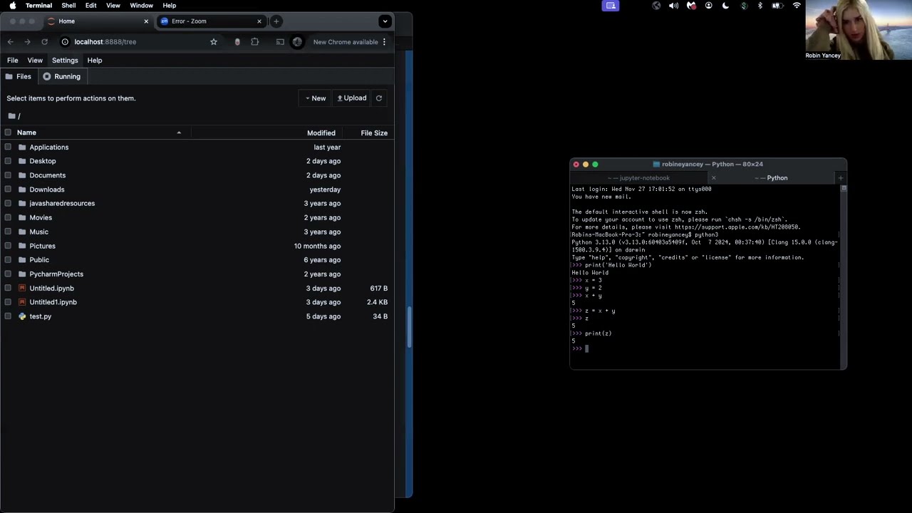 Opening the Python Shell, Running Python Scripts, Jupyter and Google Colab Introduction