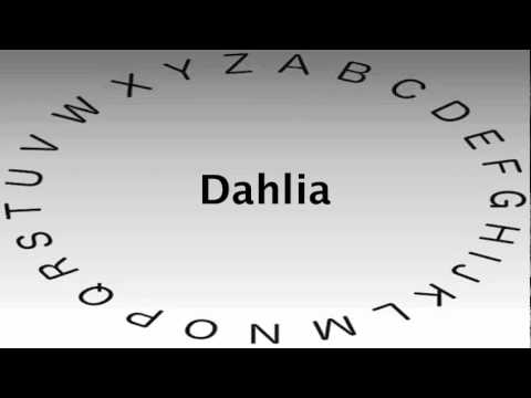 Spelling Bee Words and Definitions — Dahlia