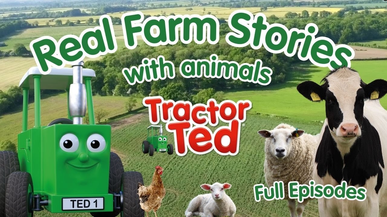 Real Farm Animal Adventures With Tractor Ted! 🚜 Stories For Kids Who LOVE Farms