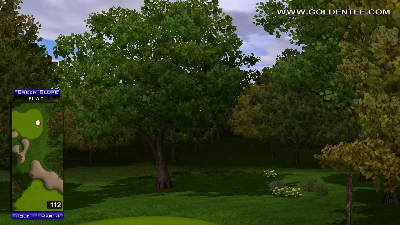 Golden Tee Great Shot on Shady Acres!