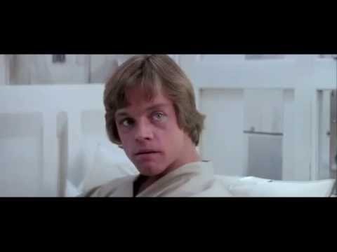 “Who’s scruffy looking?” – My Geek Wisdom