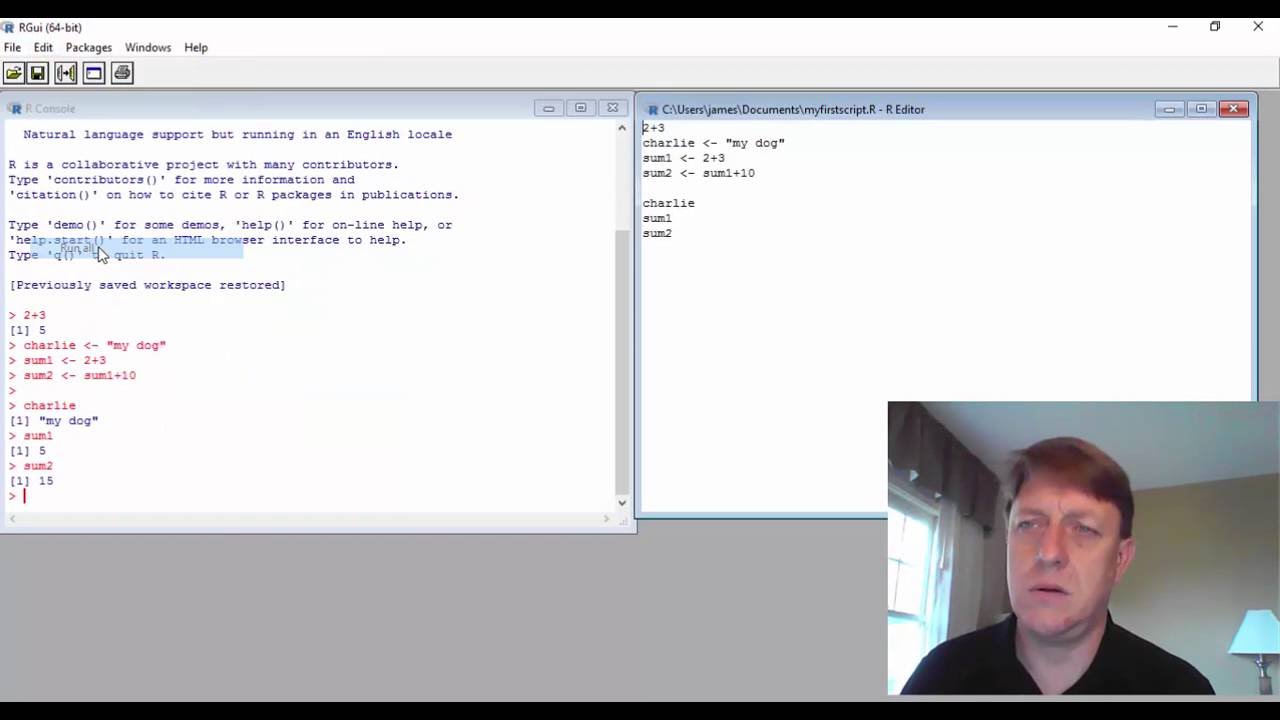 Working With the R Console and Script Windows