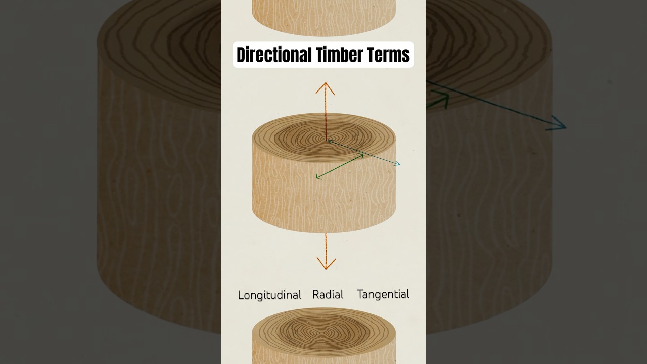 Directional Timber Terms: longitudinal, radial, and tangential