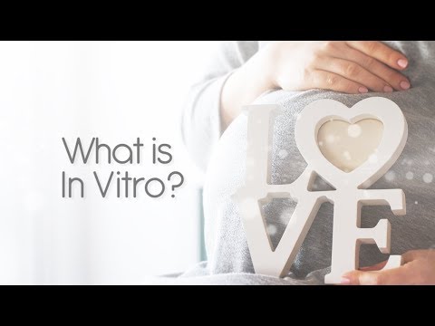 What is In Vitro?