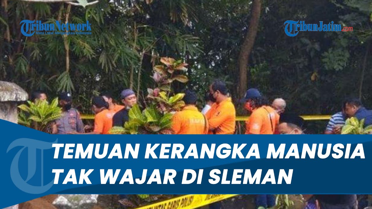 Penemuan Kerangka Manusia Dalam Kondisi Duduk Gali Kubur untuk Makam Baru di Sleman - Tribun Video