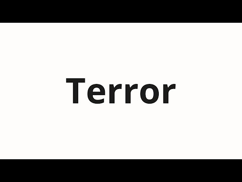 How to pronounce Terror