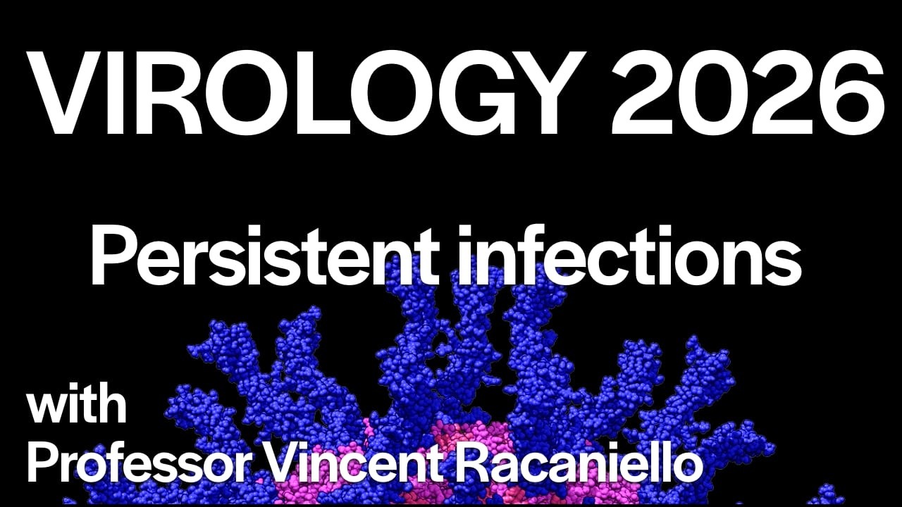 Virology Lectures 2026 #17: Persistent infections