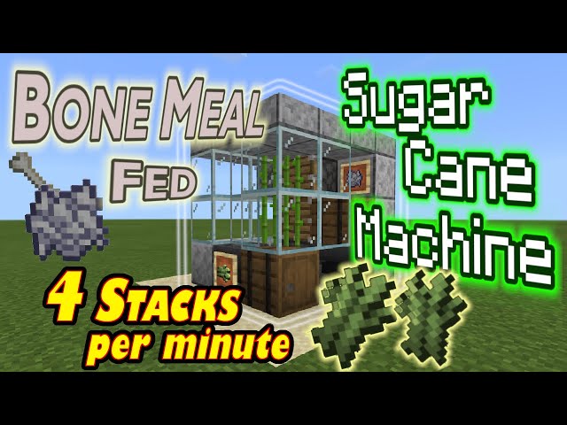5 best farm layouts for sugar cane in Minecraft