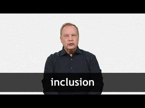 INCLUSION definition in American English | Collins English Dictionary