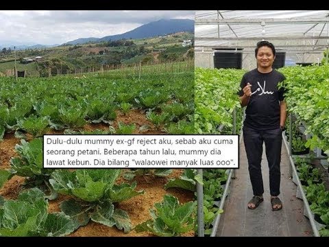Dulu lelaki ini kena reject sebab pekerjaannya, kini puas hati ibu ex gf terlopong lawat kebunnya -
