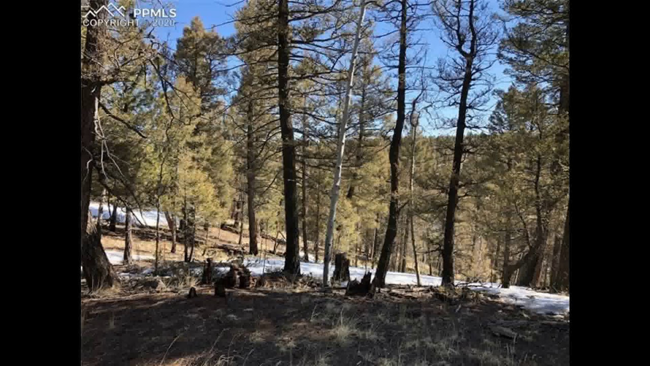 Real Estate for Sale 320 Saguache Dr, Florissant, CO 80816