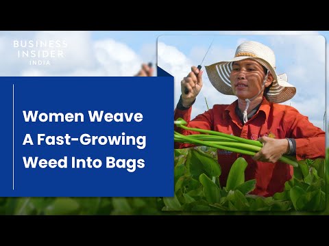 A Fast-Growing Weed Chokes Lakes In 50 Countries. Now Women Weave It Into Bags | World Wide Waste