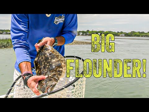 South Carolina Founder - #13 SouthEAST