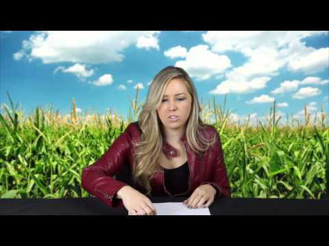 Iowans Define Slang Words