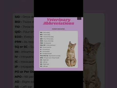 Veterinary abbreviations used in veterinary medicine #music #simpsons #automobile #lifeisbutadream