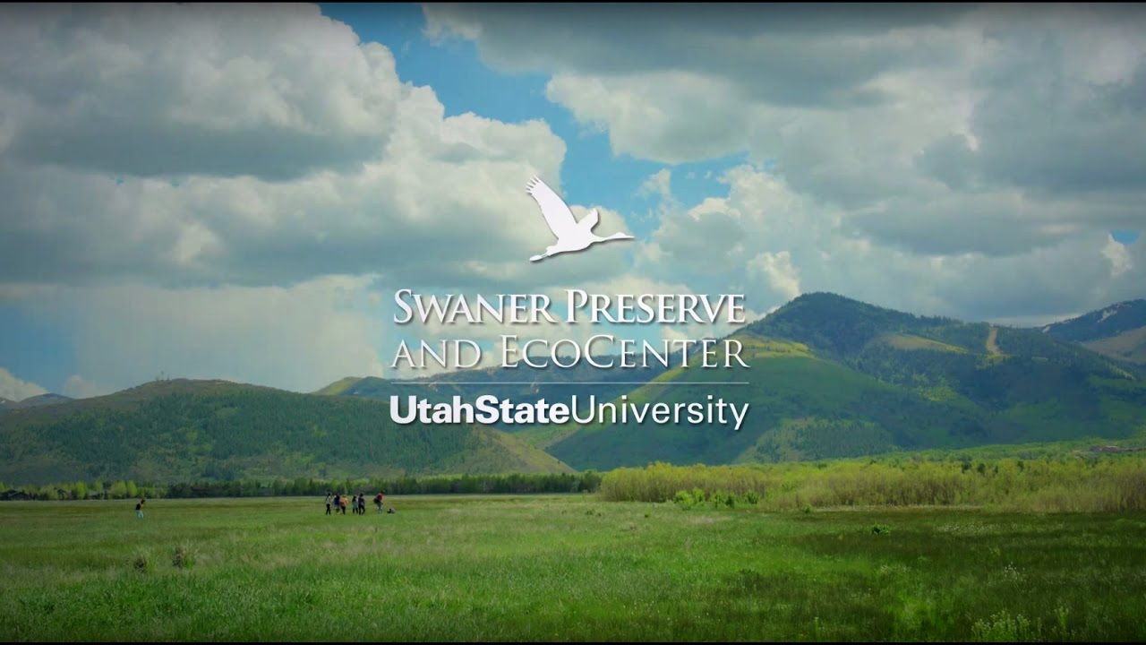 Swaner Preserve and EcoCenter