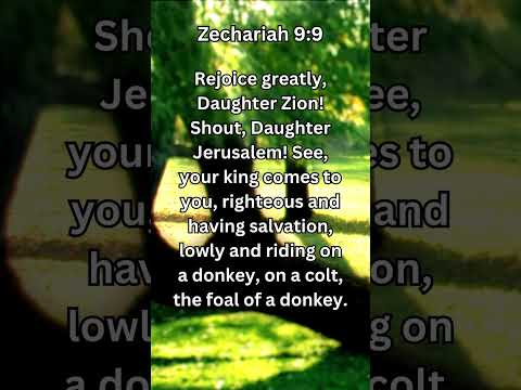 Journey of faith and spiritual growth | Zechariah 9:9 #dailybread #dailyverse #dailybibleverse