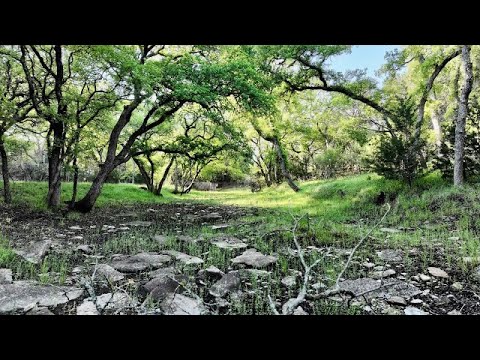 Smith Ranch Lampasas, TX Hunting Land