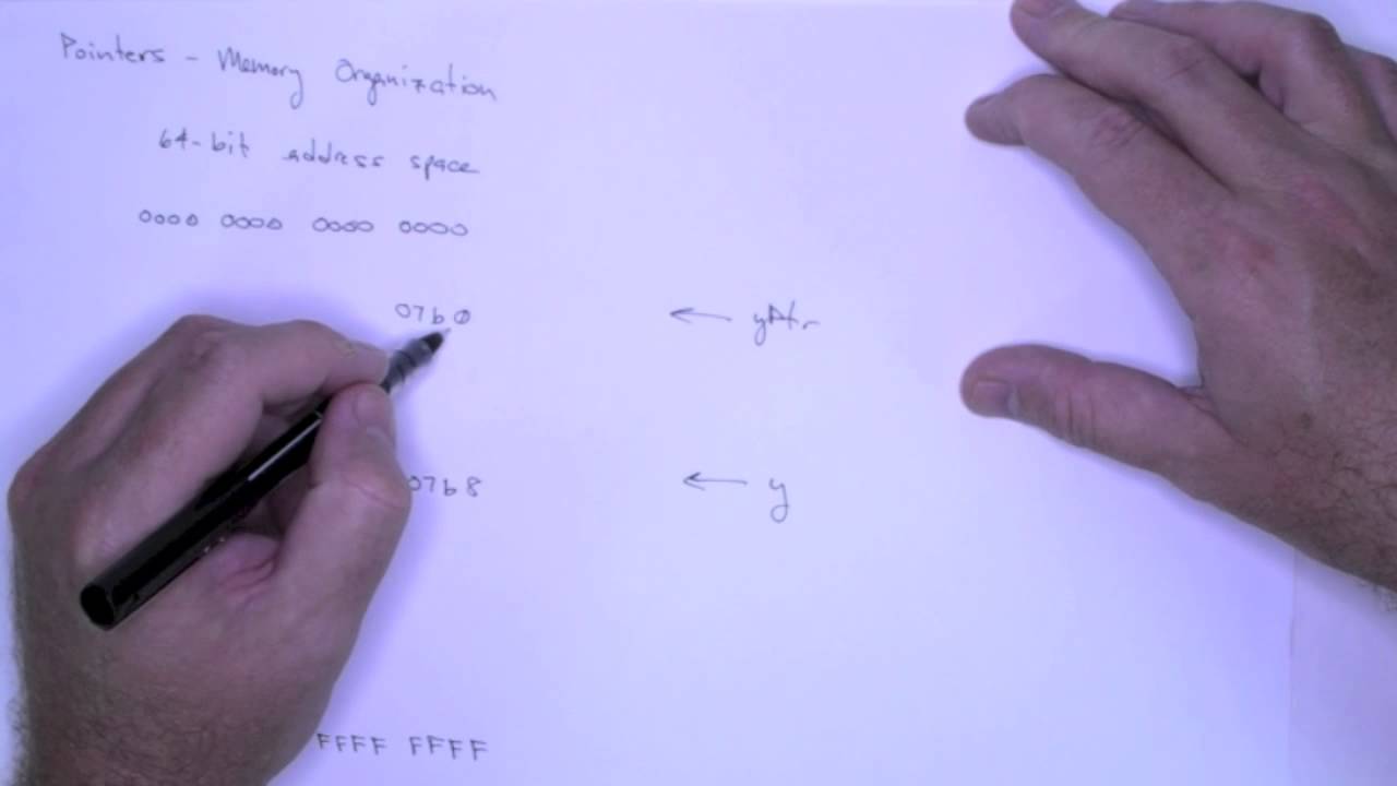 Pointers - Memory Organization