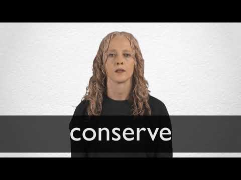 How to pronounce CONSERVE in British English