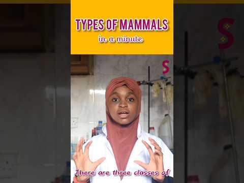 Mammals #mammals #shorts #science #types #animals