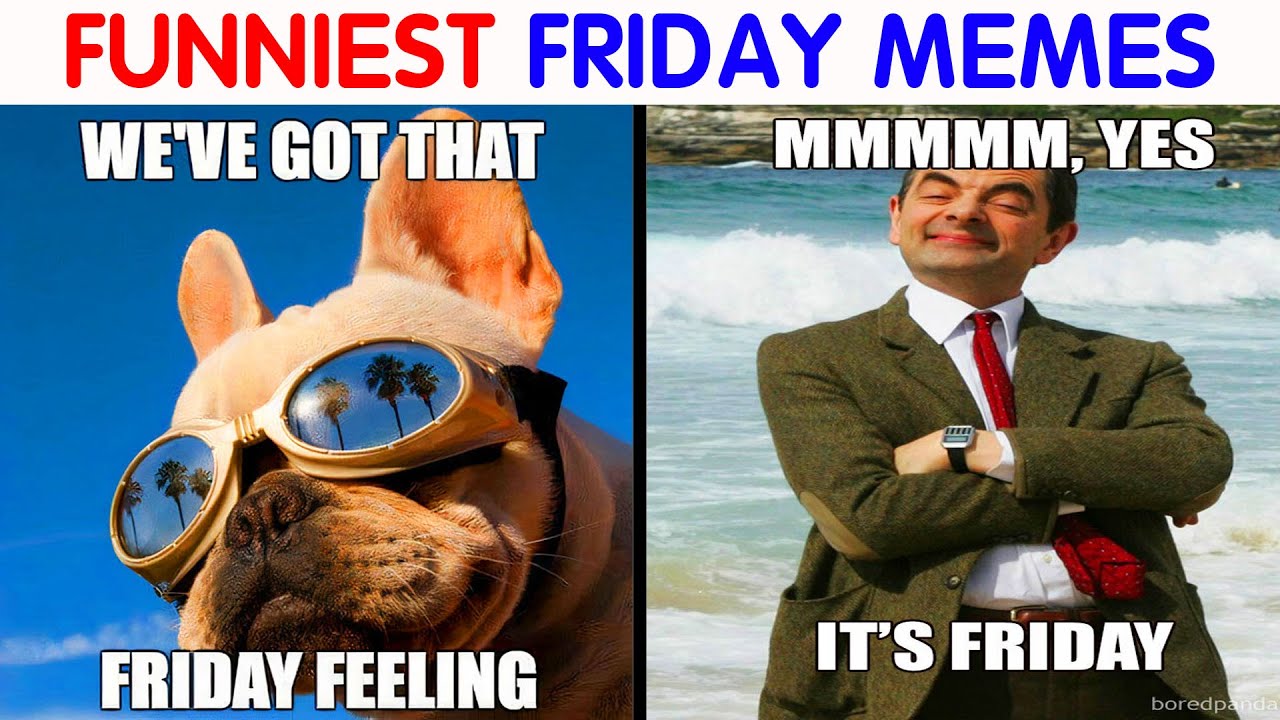 Funny Friday Memes To Kickstart Your Weekend