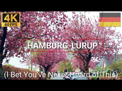 This May Be the BEST Cherry Blossom Location in HAMBURG, Germany 🇩🇪 | 2024 | Prove me wrong!