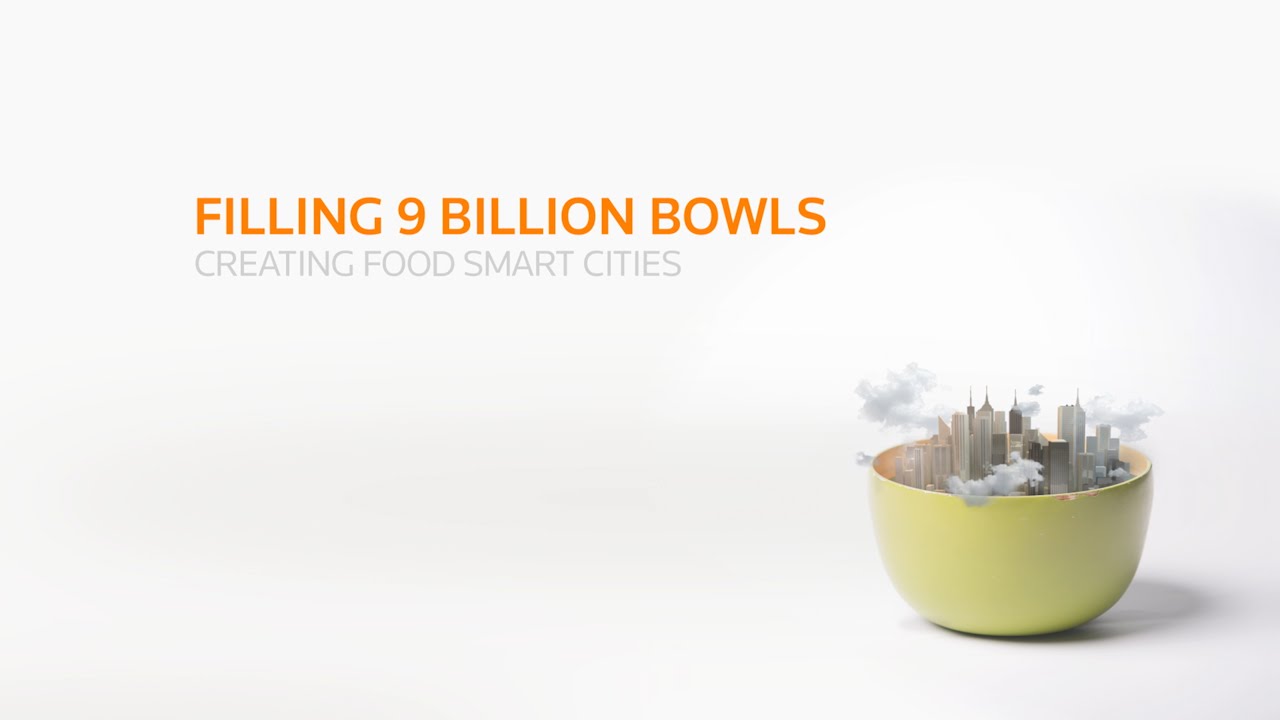 How to fix the broken food chain