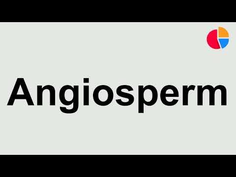 How to Pronounce "Angiosperm"