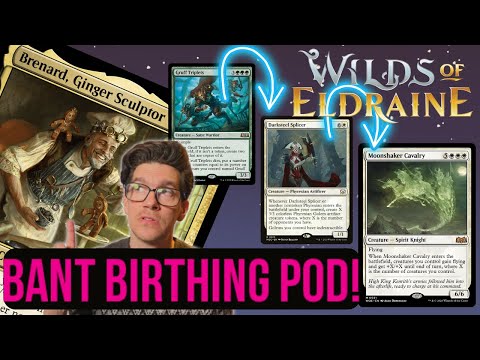 MTG Specs - How to build Brenard, Ginger Sculptor / MtG Wilds of ...