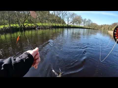 The River Stinchar 2023 - Balnowlart Part 1