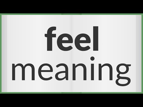 Feel | meaning of Feel