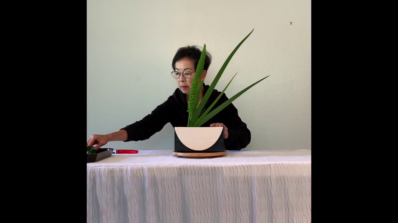 Basic Ikenobo Ikebana Ep 5